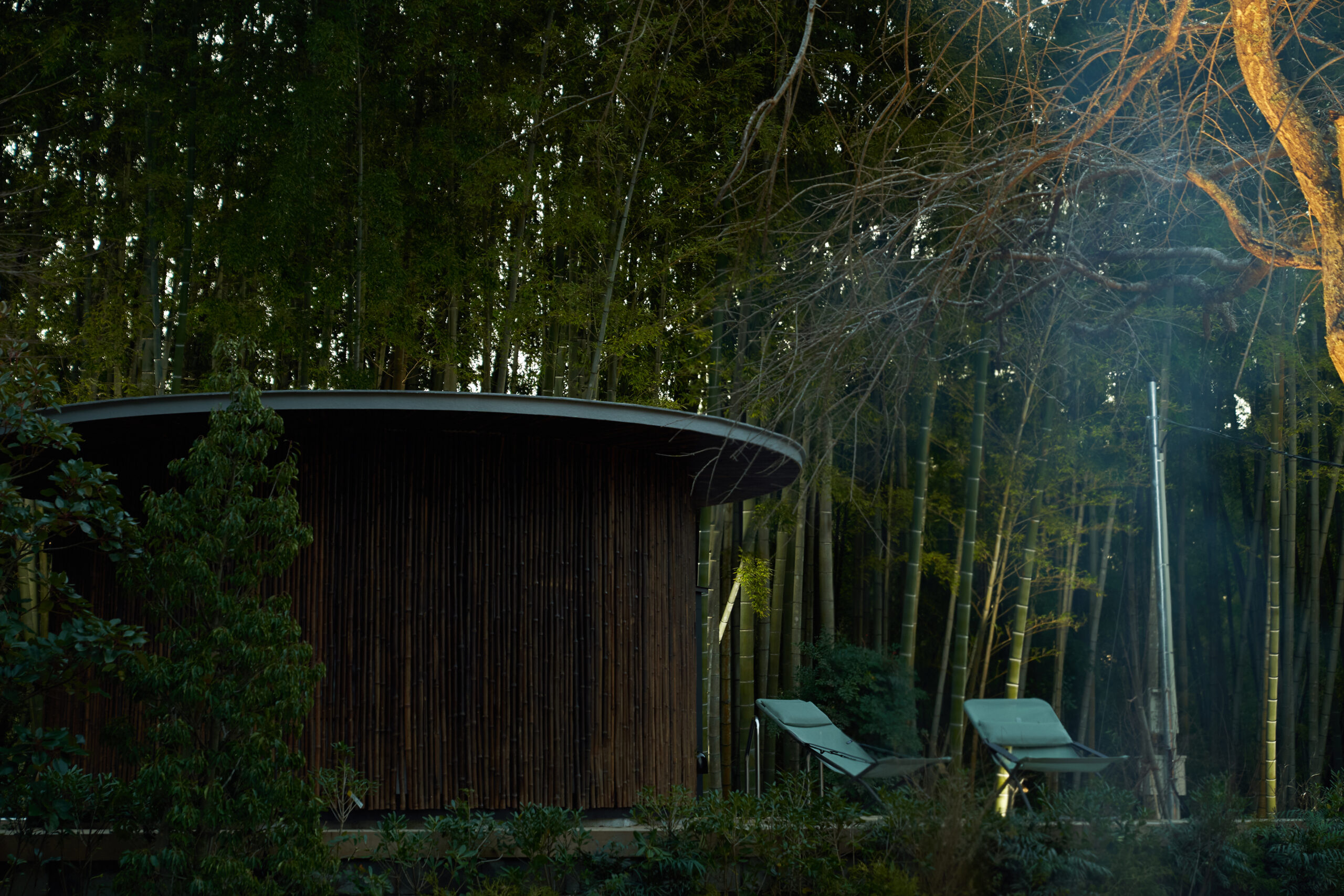 竹林の中で、心身を調律するプライベートサウナ | News | RICKA KATSUURA | 竹林の中で心身を調律する、プライベートリ ...